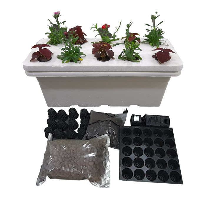 Hydroponics systems : 10 Plants Hydroponic DWC System Hydroponics systems : 10 Plants Hydroponic DWC System
